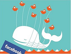 Four Reasons Why Bloggers on Twitter Shouldn't Pimp Facebook